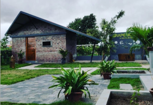 10 Best Vineyards in Nashik (Must-Visit)