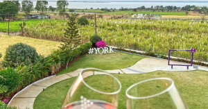 10 Best Vineyards in Nashik (Must-Visit)