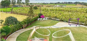 Gangapur Dam Nashik: Timings & Backwater Details (2025)