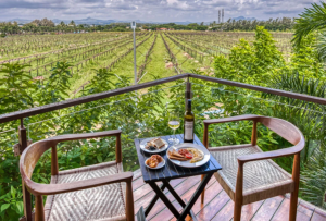 Sula Vineyards Nashik: Wine Tour & Tasting Guide