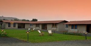 York Winery Nashik: Timings, Tasting Rooms & Charges