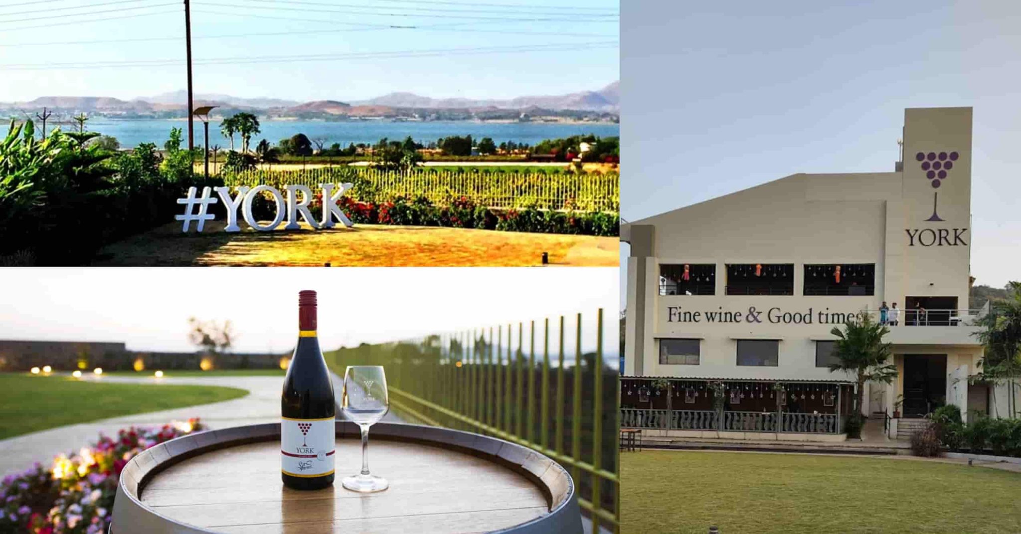 Wine Tasting & Tour in Nashik: Experiences & Tips (2026)
